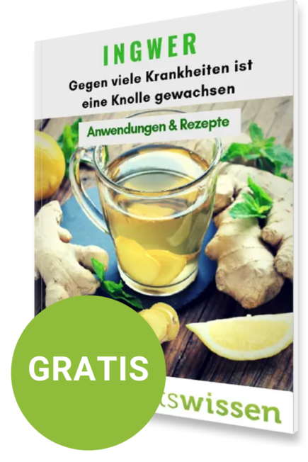 Ingwer